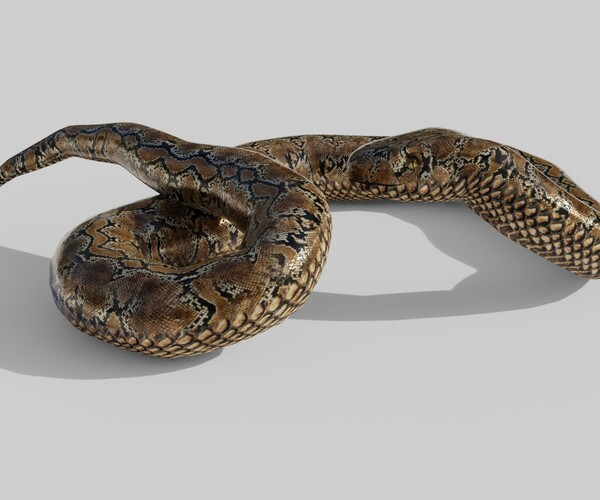 ArtStation - Python Snake - Low Poly - Game Ready - PBR | Game Assets