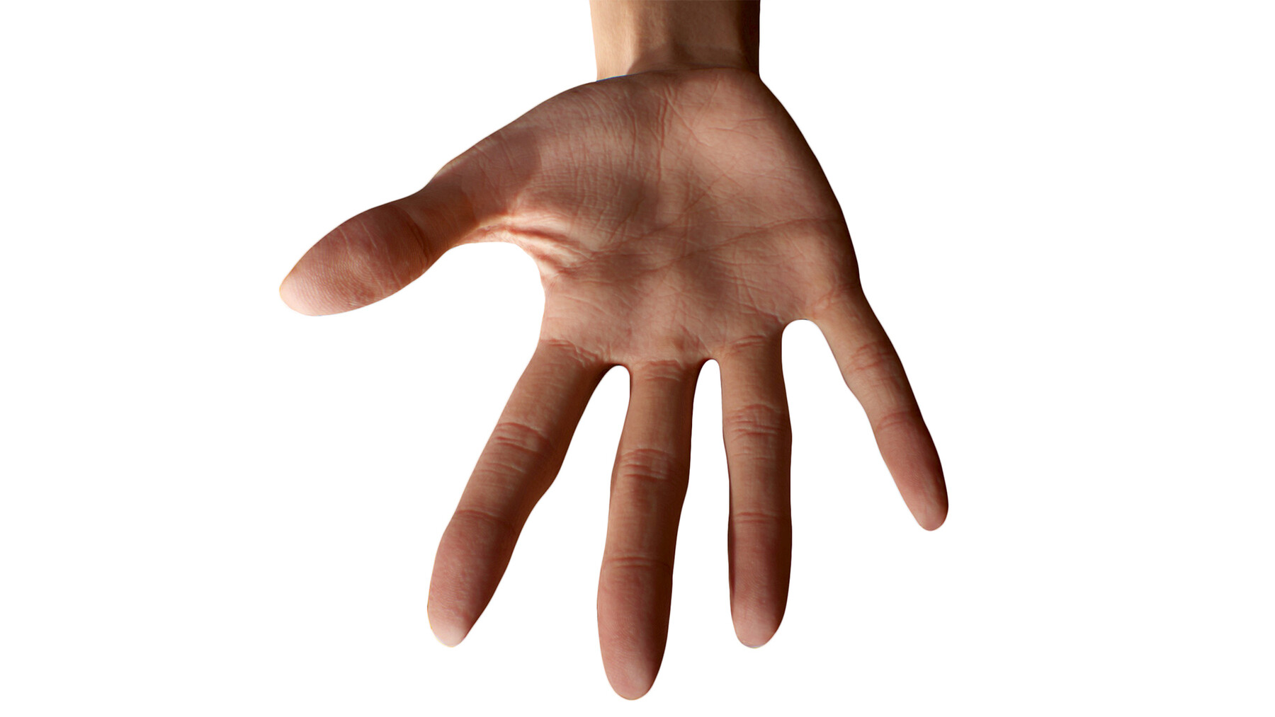 ArtStation - Retopologized 3D Hand Scan | Ishikawa | Resources