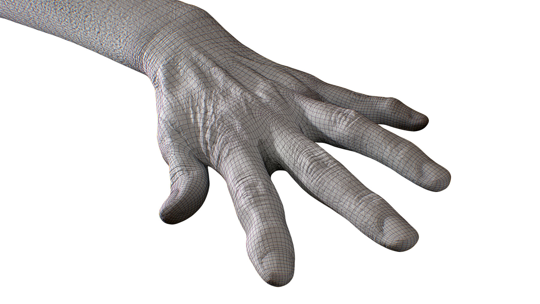 ArtStation - Retopologized 3D Hand Scan | Isla Cole | Resources