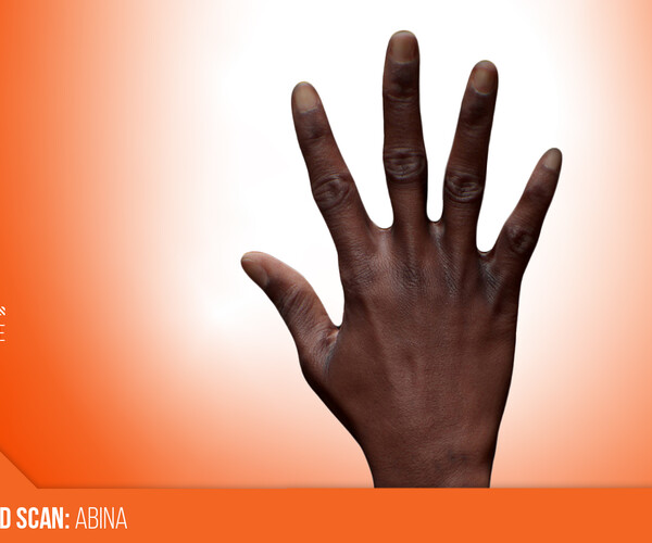 ArtStation - Retopologized 3D Hand Scan | Abina | Resources