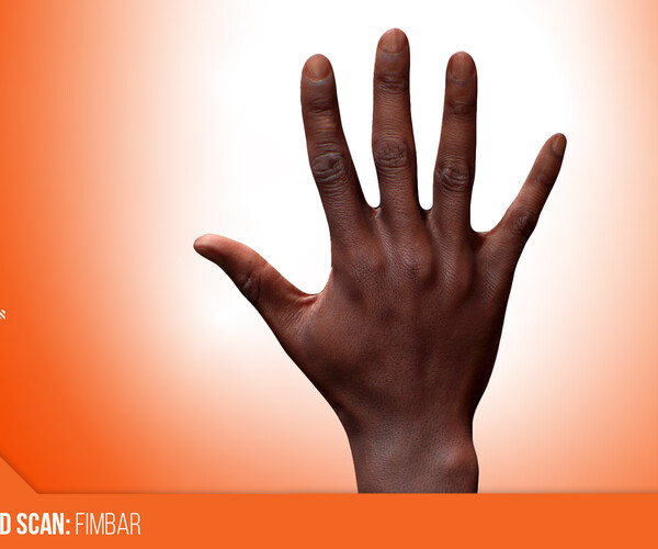 ArtStation - Retopologized 3D Hand Scan | Fimbar | Resources