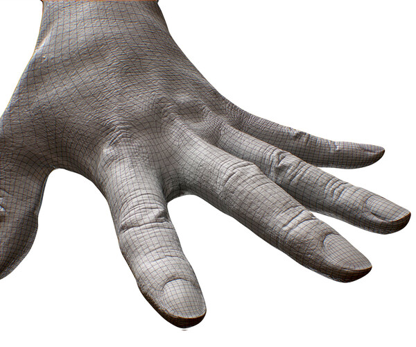 ArtStation - Retopologized 3D Hand Scan | Tokuda Heizo | Resources