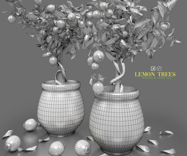 ArtStation - lemon trees | Game Assets