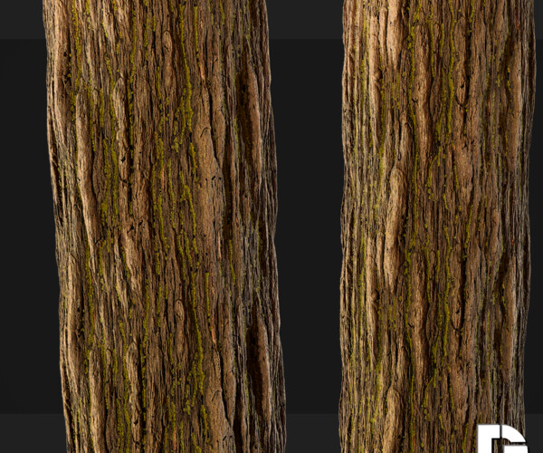 ArtStation - Old Tree Bark Material - Substance Designer | Game Assets