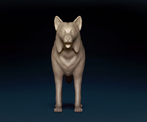 ArtStation - Border Collie Base Mesh 3D Model | Resources