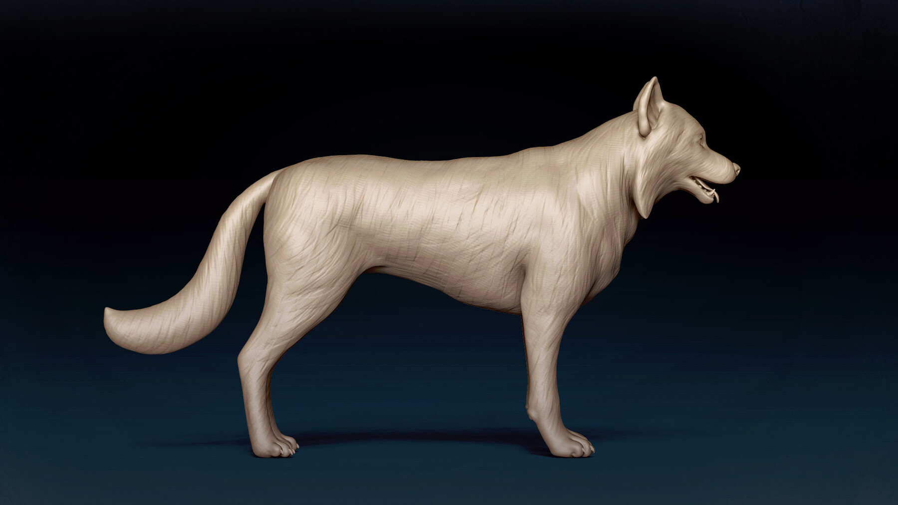 ArtStation - Border Collie Base Mesh 3D Model | Resources