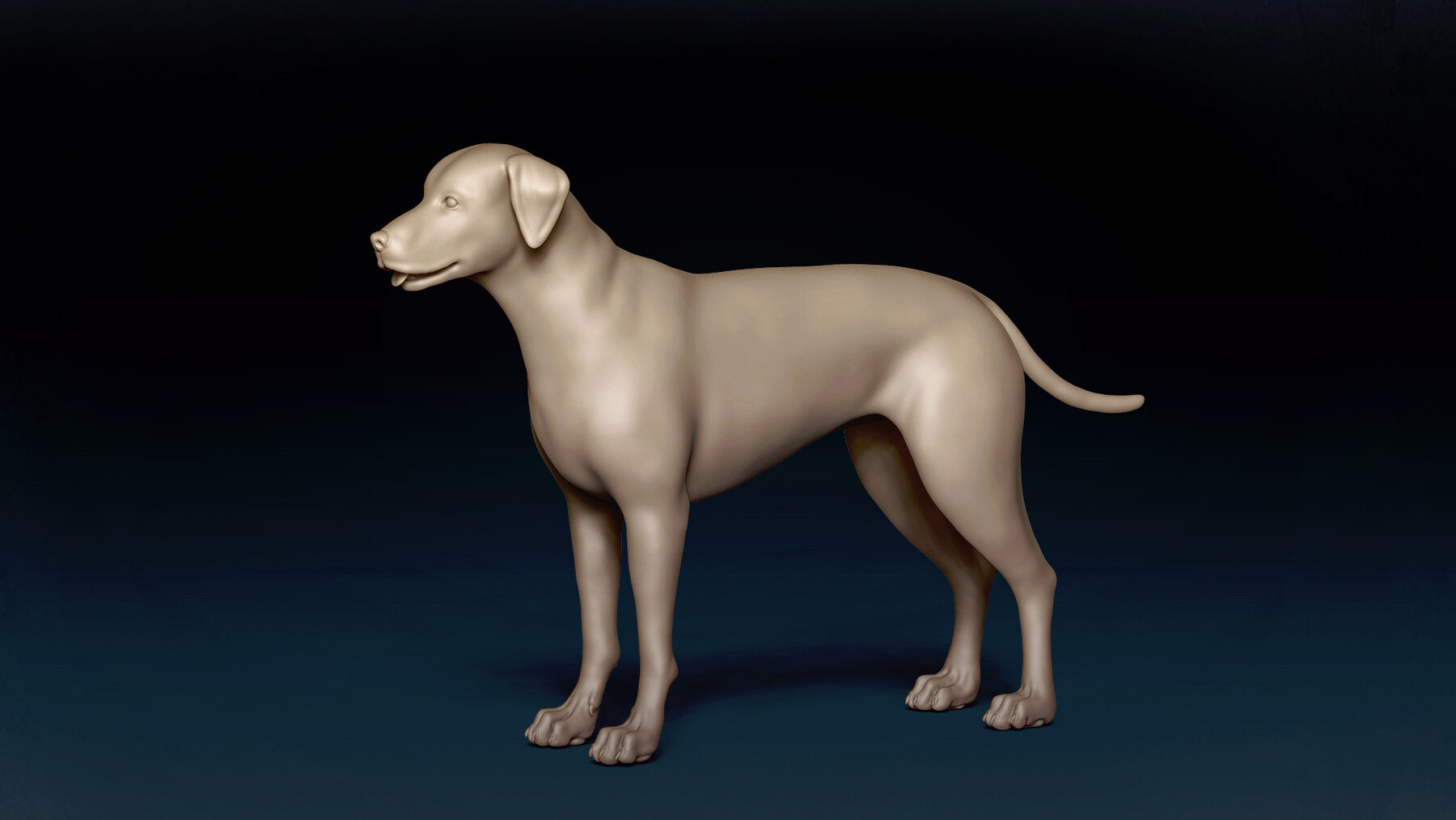 ArtStation - Dalmatian Base Mesh 3D Model | Resources