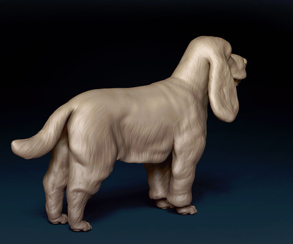 ArtStation - English Cocker Spaniel Base Mesh 3D Model | Resources