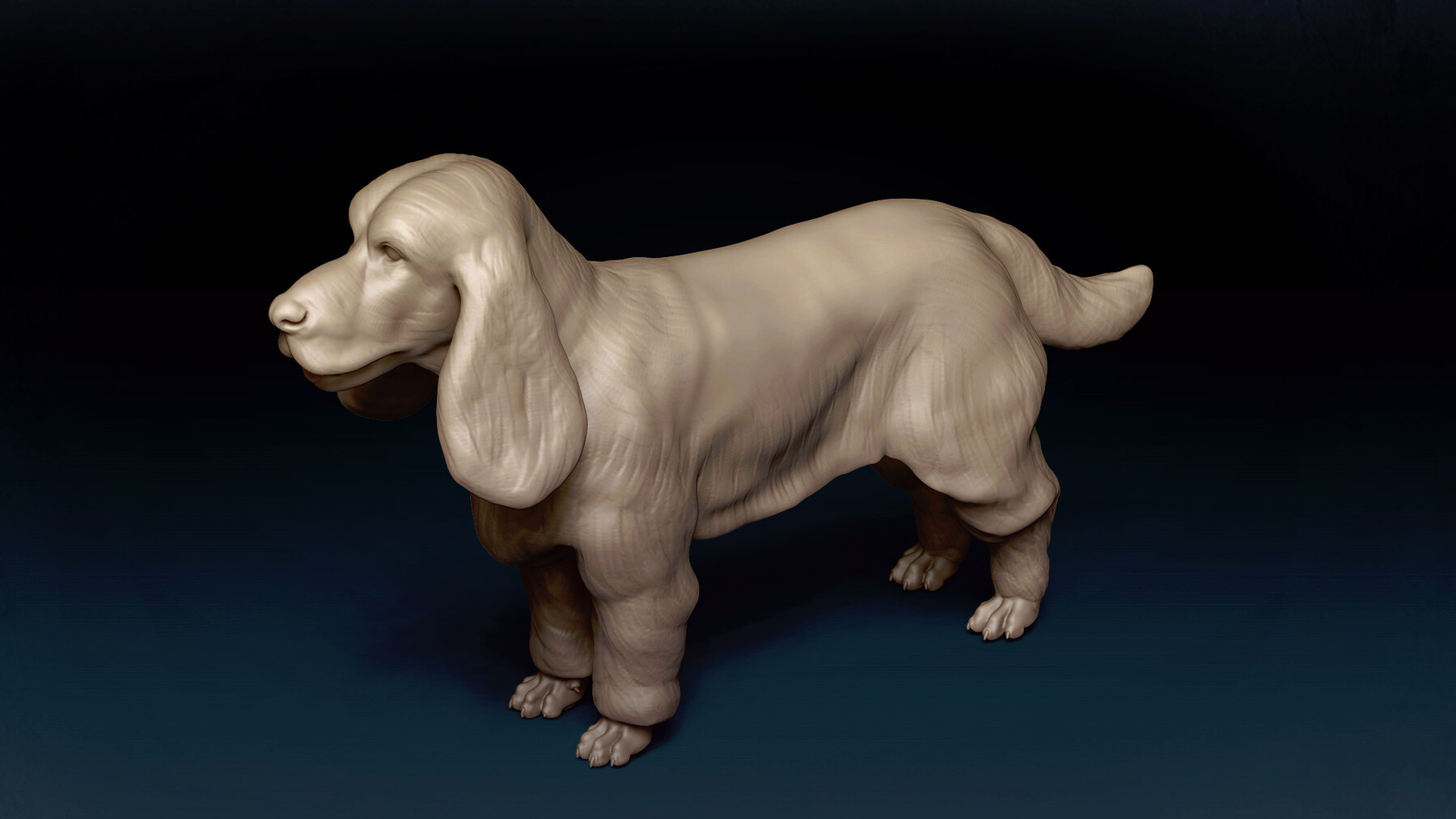 ArtStation - English Cocker Spaniel Base Mesh 3D Model | Resources
