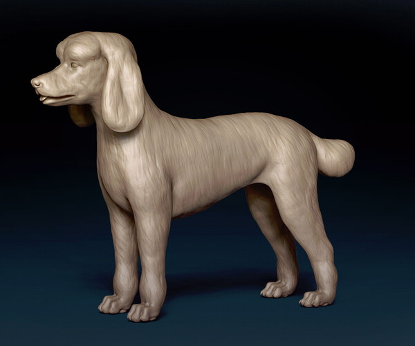 ArtStation - Large Poodle Base Mesh 3D Model | Resources