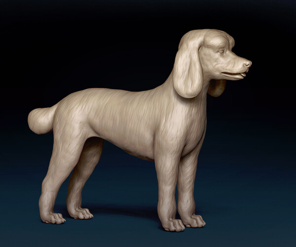 ArtStation - Large Poodle Base Mesh 3D Model | Resources