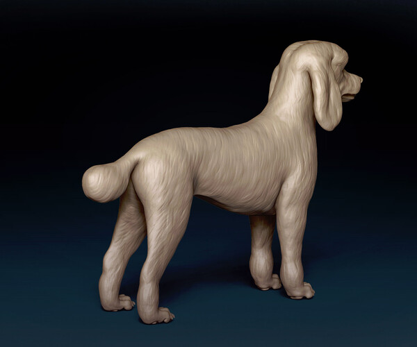 ArtStation - Large Poodle Base Mesh 3D Model | Resources