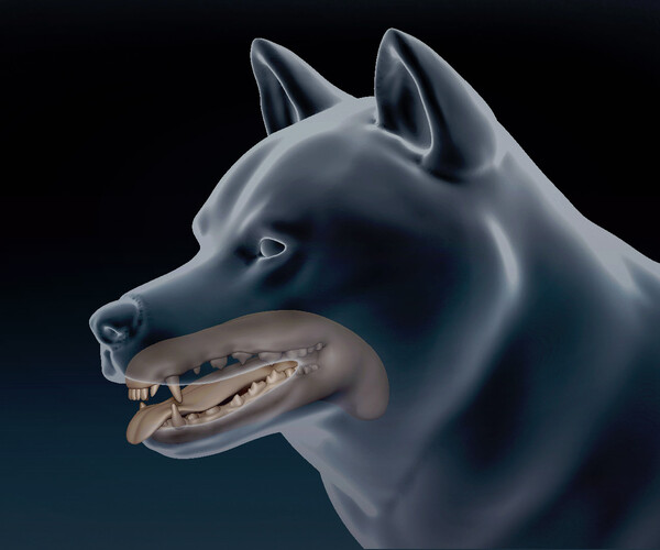 ArtStation - Shiba Inu Base Mesh 3D Model | Resources