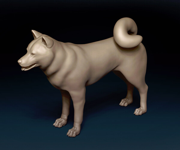 ArtStation - Shiba Inu Base Mesh 3D Model | Resources