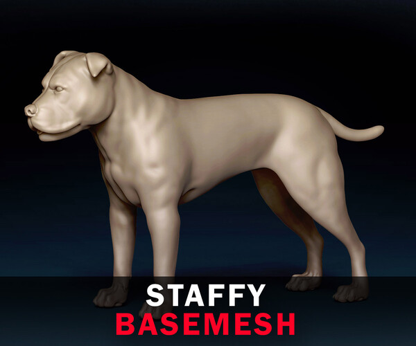 ArtStation - Staffy Base Mesh 3D Model | Resources