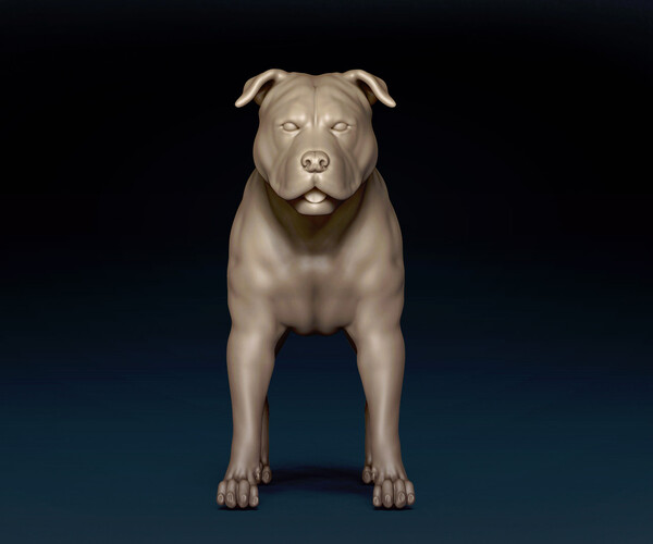 ArtStation - Staffy Base Mesh 3D Model | Resources