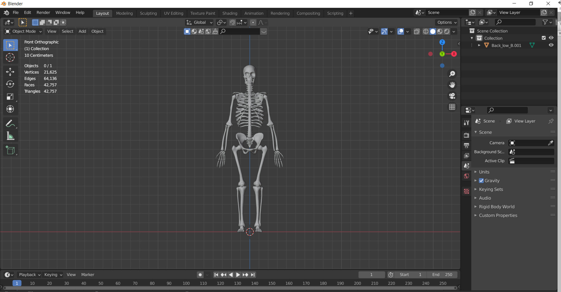 ArtStation - Human Skeleton Bones with Anatomy | Game Assets