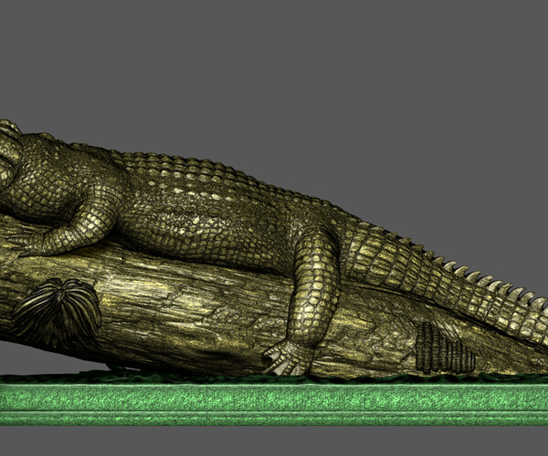 ArtStation - Crocodile in Tree | Resources