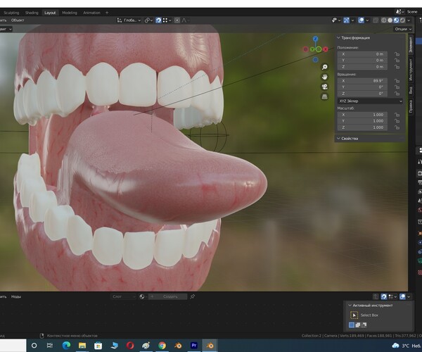 ArtStation - Realistic human jaw with teeth and tongue | Game Assets