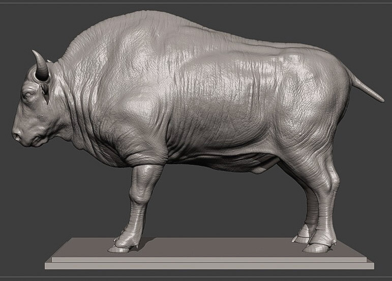 ArtStation - Bison | Game Assets