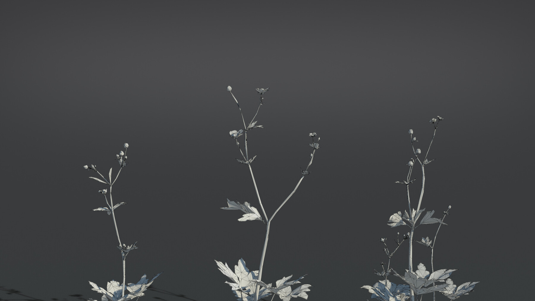 ArtStation - Buttercup Flower | VFX Grace | Game Assets