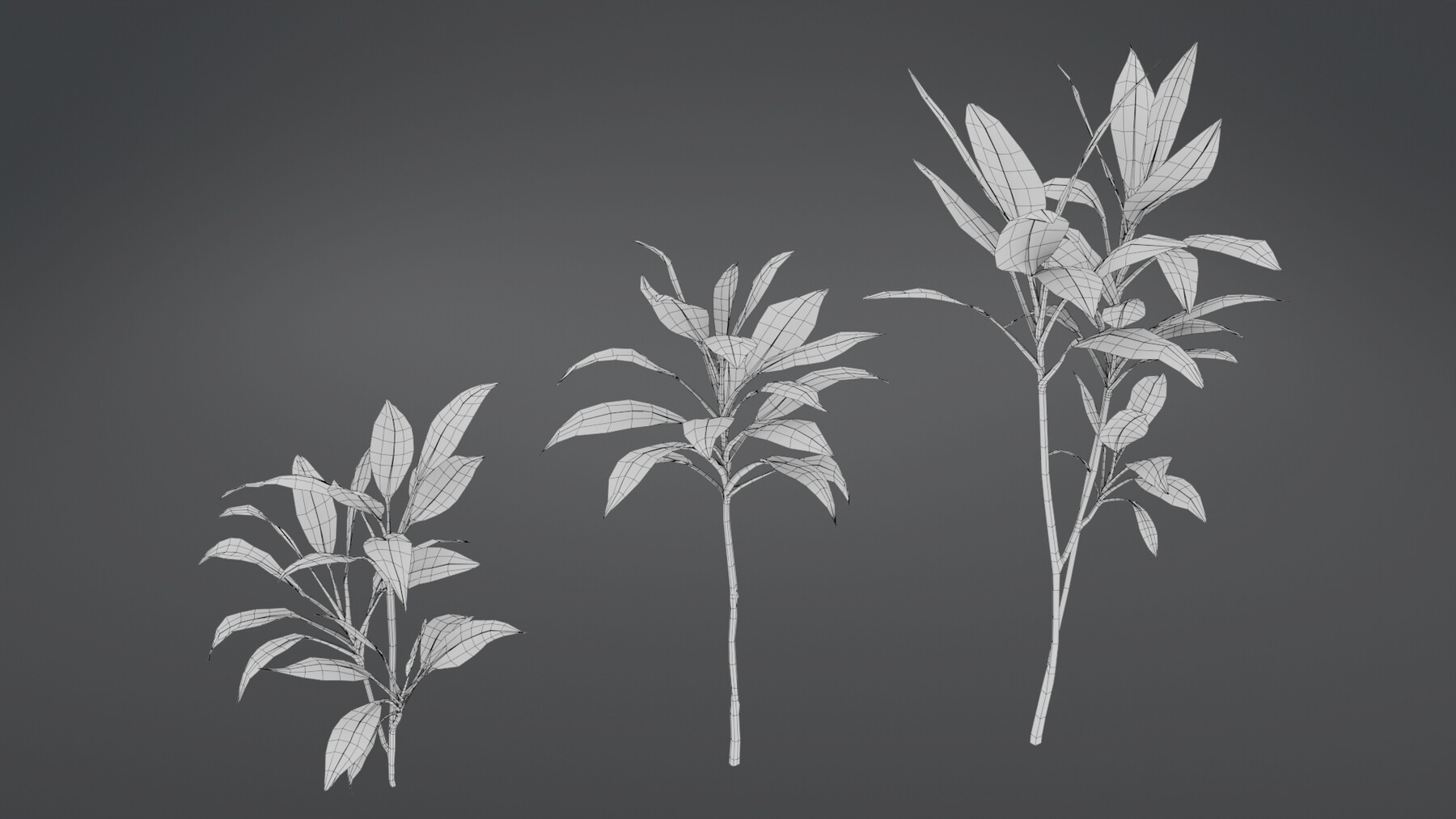 ArtStation - Cordyline Fruticosa Plant | VFX Grace | Game Assets