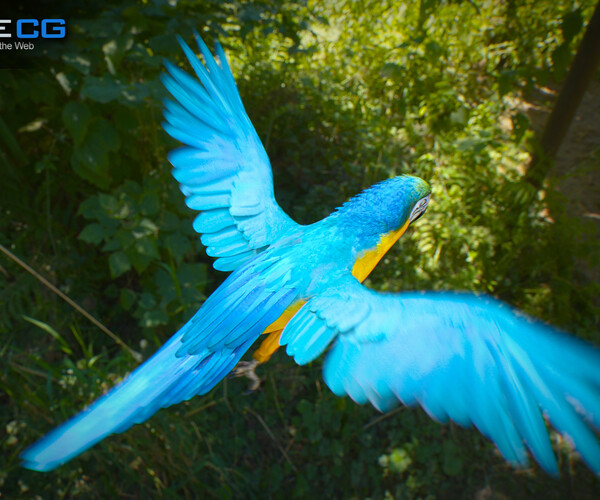 ArtStation - Animated Blue Parrot | Game Assets