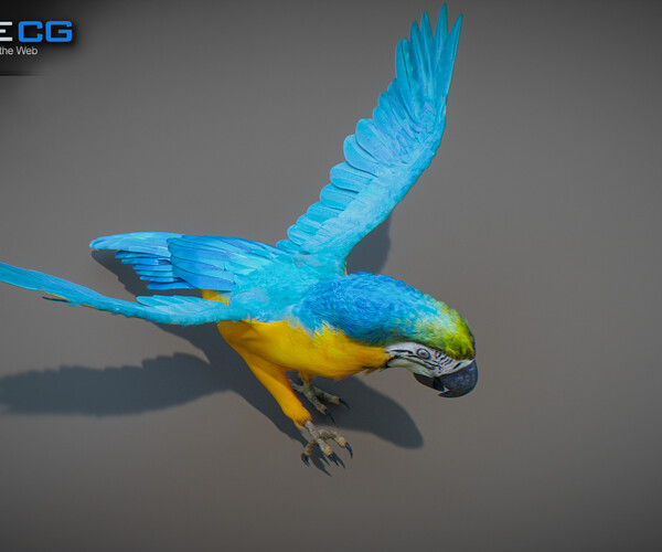 ArtStation - Animated Blue Parrot | Game Assets