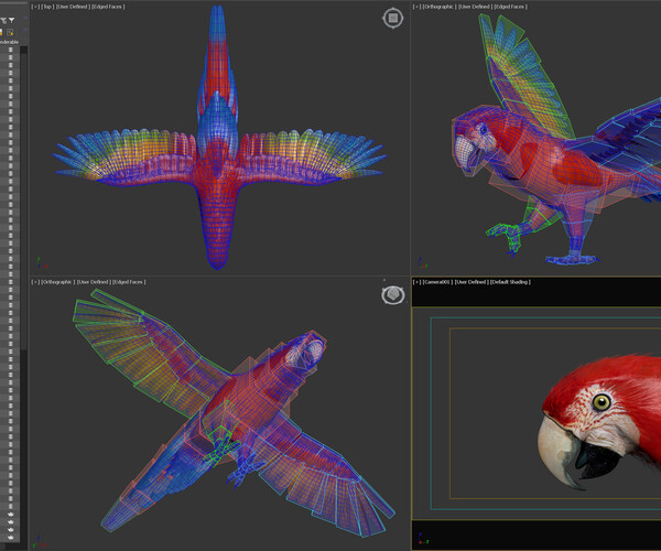 ArtStation - Animated Red Parrot | Game Assets