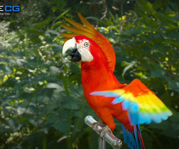 ArtStation - Animated Red Parrot | Game Assets
