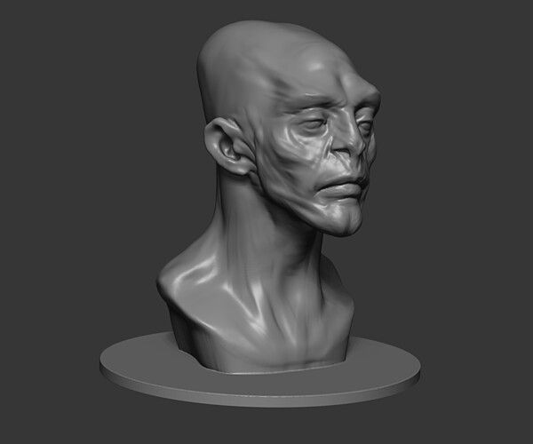 ArtStation - Generic Creature Head | Game Assets