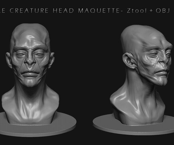 ArtStation - Generic Creature Head | Game Assets