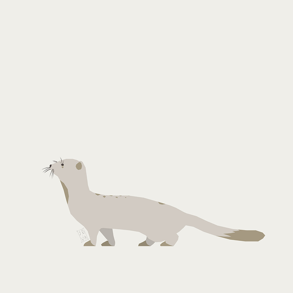 ArtStation - Minimalist animals pack | Artworks