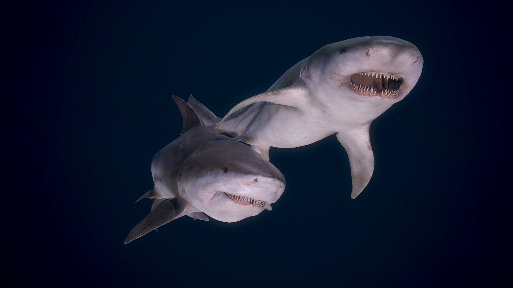 ArtStation - Bull Sharks | Game Assets