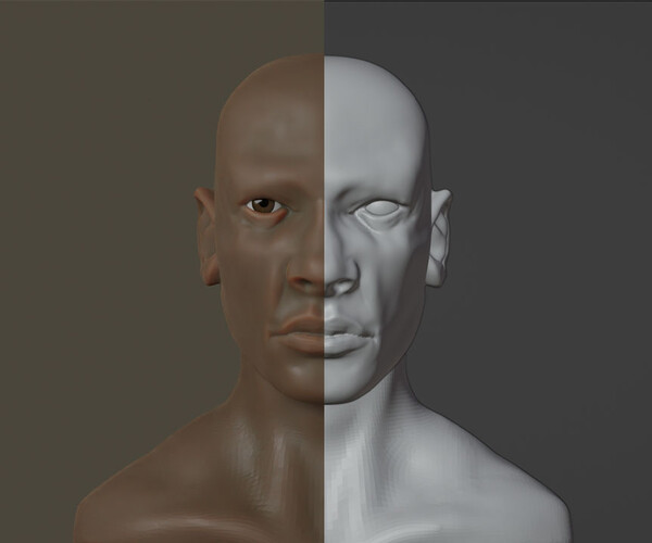 ArtStation - Base Heads - Males - Base Meshes for concept/illustration ...