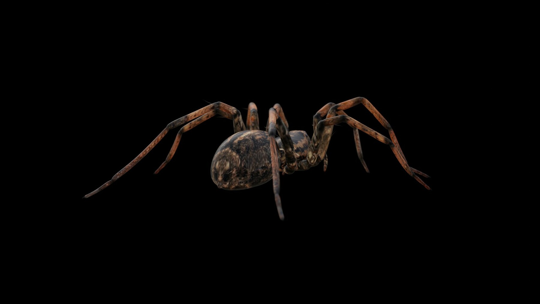 ArtStation - Spider 3D | Game Assets