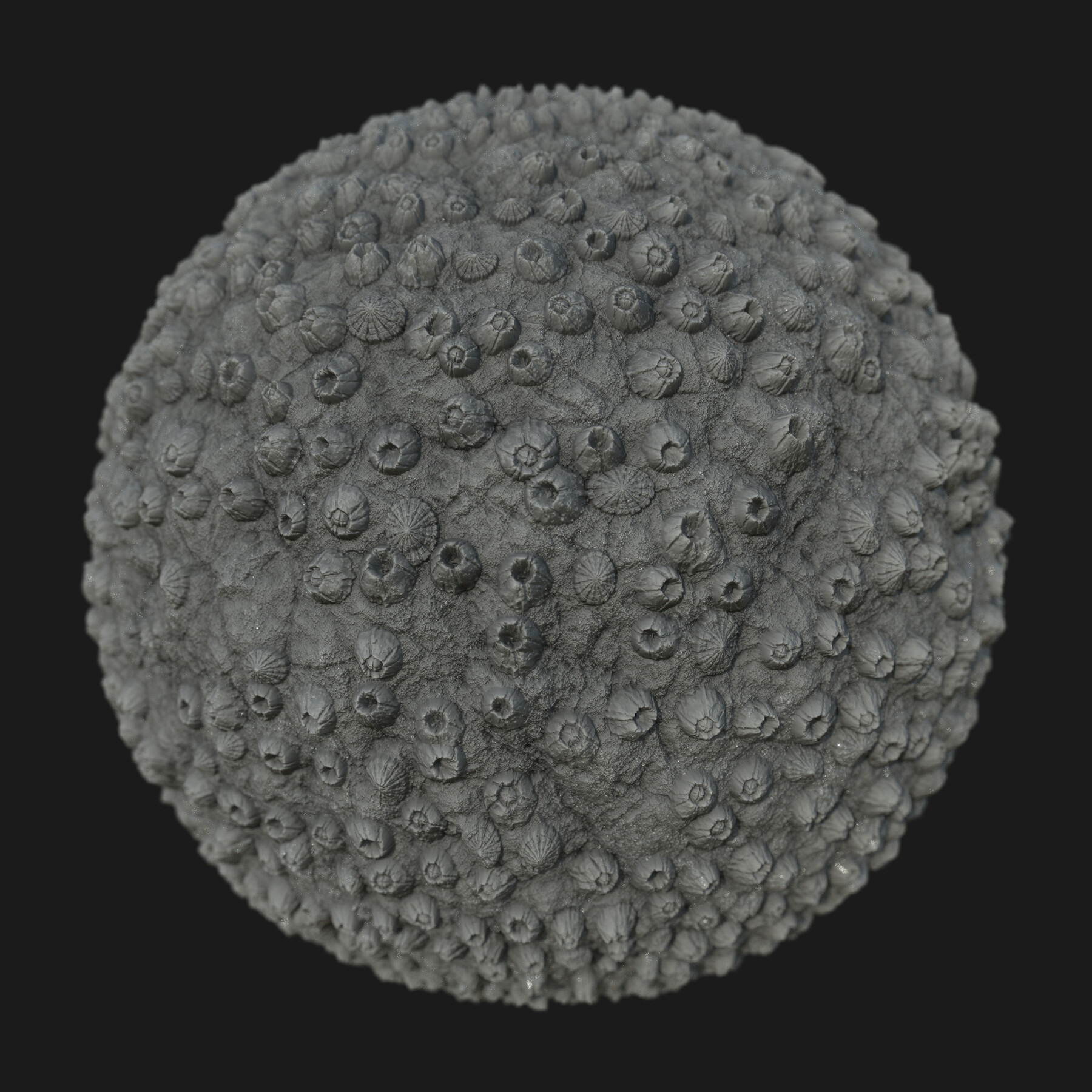 ArtStation - Barnacles And Mollusks On Rock PBR Procedural Material 001 | Game Assets