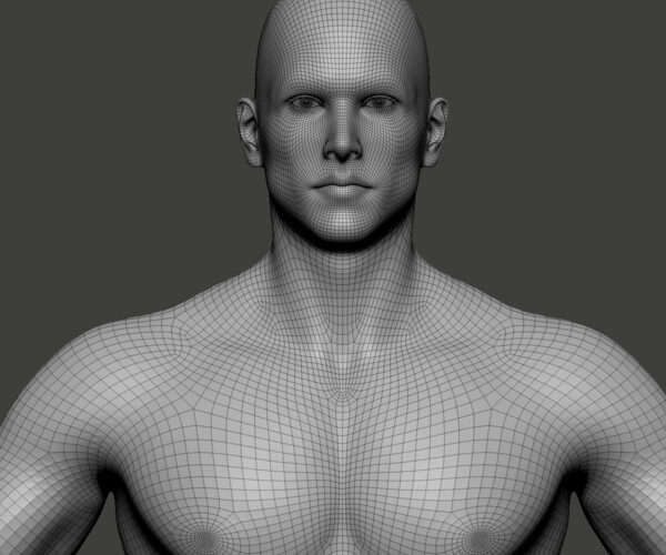 ArtStation - Male 06 Base Mesh | Resources