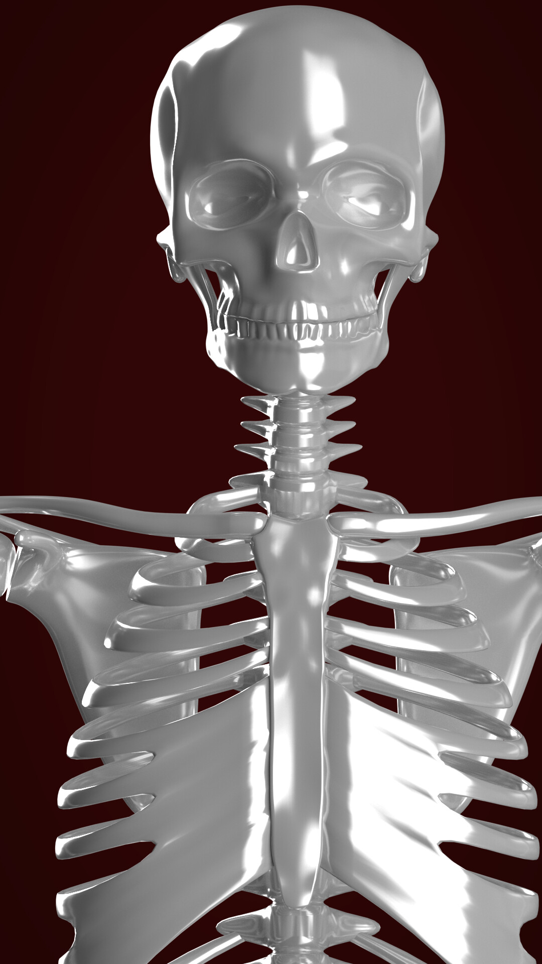 ArtStation - Human skeleton according to Bammes | Game Assets