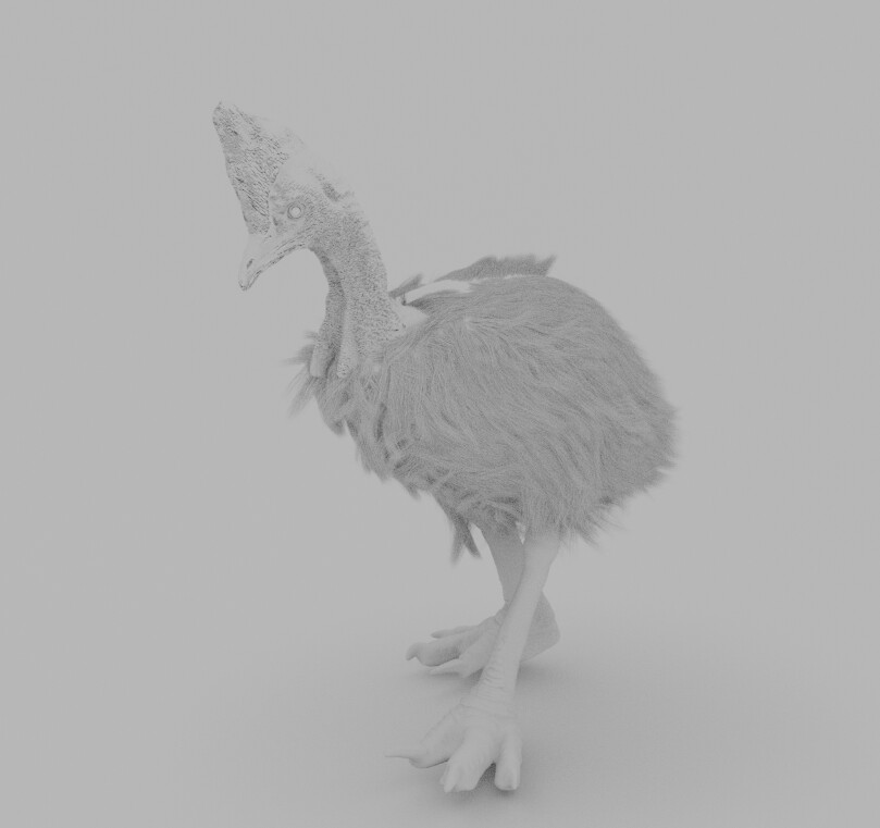 ArtStation - Cassowary | Game Assets