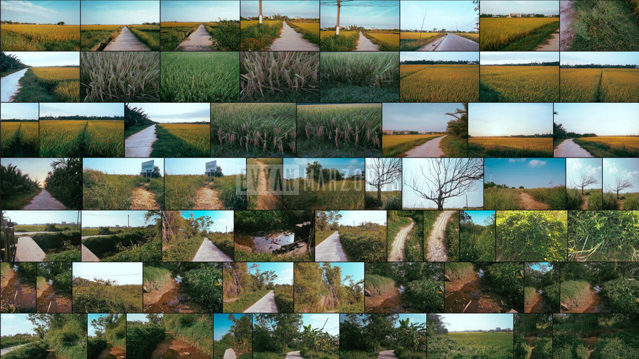 ArtStation - Hoi An - Field | References for Concept art & Matte ...