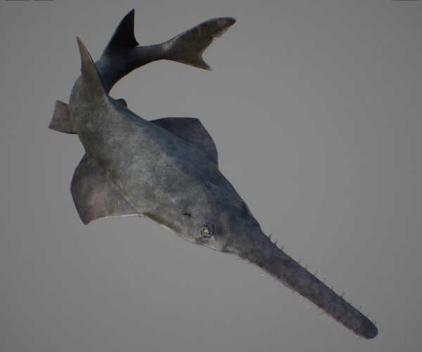 ArtStation - Sawfish – Game Ready | Game Assets