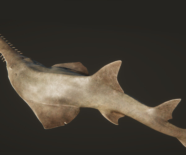 ArtStation - Sawfish – Game Ready | Game Assets