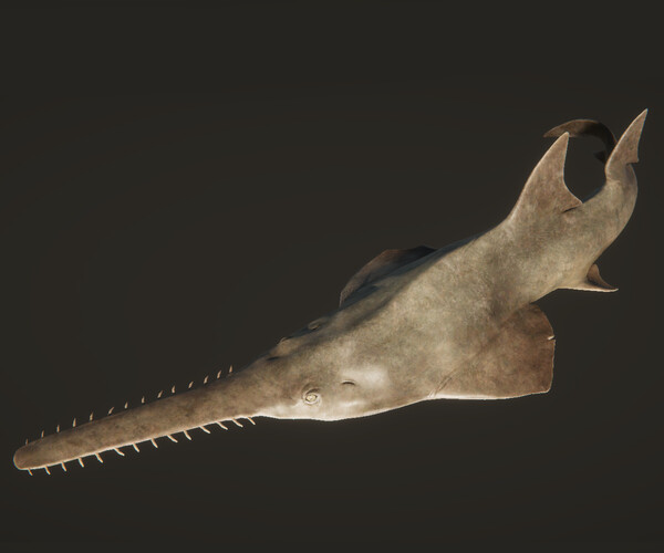 ArtStation - Sawfish – Game Ready | Game Assets