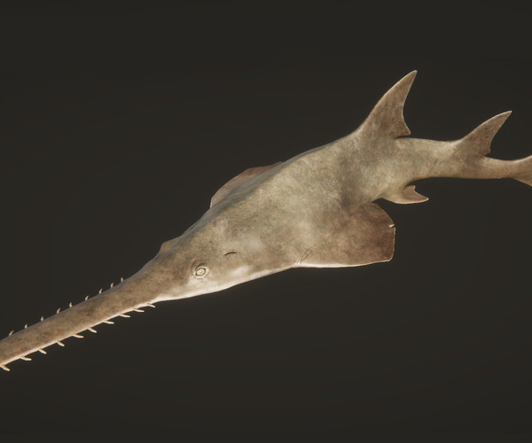 ArtStation - Sawfish – Game Ready | Game Assets