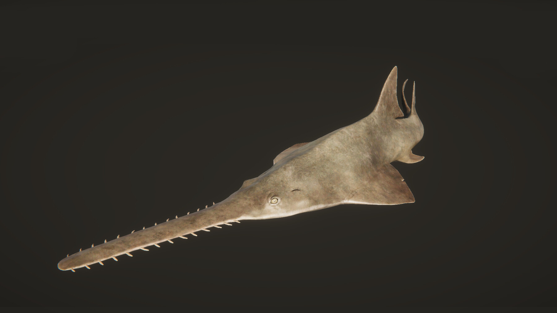 ArtStation - Sawfish – Game Ready | Game Assets