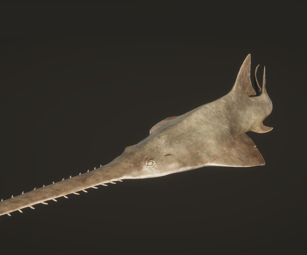 ArtStation - Sawfish – Game Ready | Game Assets