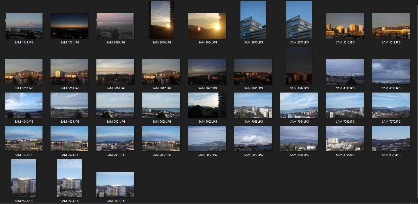 ArtStation - Urban Jungle 490+ Photo Reference Pictures | Resources