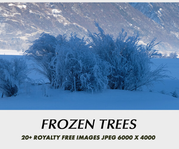 ArtStation - FROZEN TREES PACK | Resources