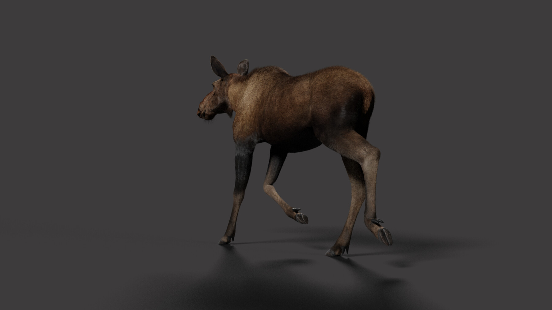 ArtStation - Moose Female Animated | VFX Grace | Game Assets